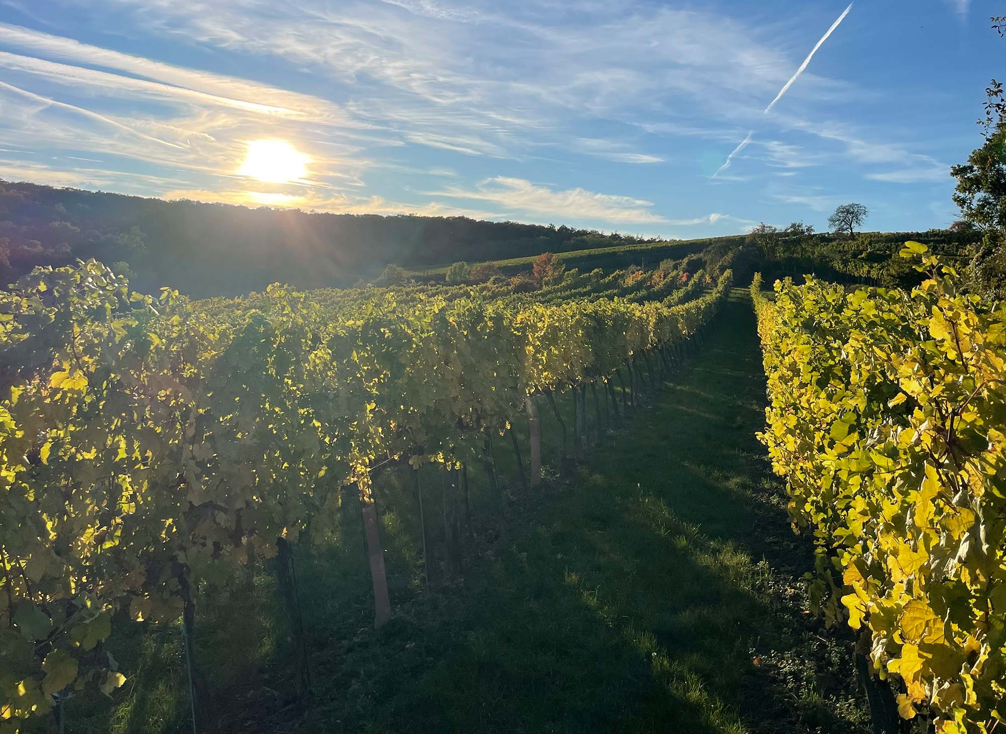 Ried Karln - Paul Zimmermann